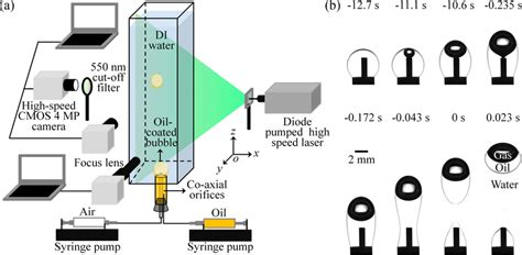 A Schematic Of The Experimental Setup Illustrating The Generation Of Download Scientific