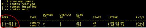 Omp Cisco Viptela Sd Wan Overlay Management Protocol Network Rare