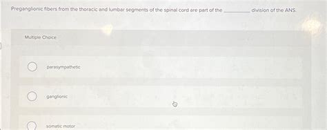 Solved Preganglionic Fibers From The Thoracic And Lumbar