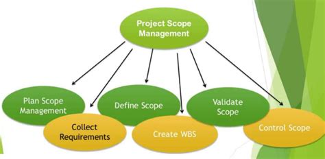 Project Scope Management Practice Questions Quiz Trivia
