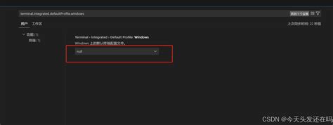VScode运行程序停止后频繁出现终端进程被终止 dtcms
