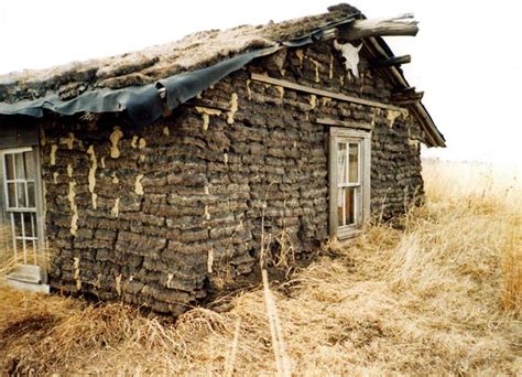 Pioneers Found Solution To Shelter Needs Right Under Their Feet Cappers Farmer