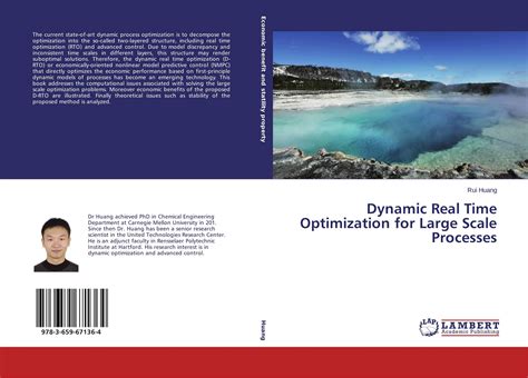 Dynamic Real Time Optimization For Large Scale Processes 978 3 659 67136 4 3659671363