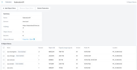 simplifying access to geo distributed object data using global