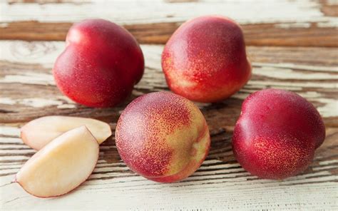 Snow Queen White Nectarine Tree Aromatic Uniquely Flavored Rare Co Online Orchards