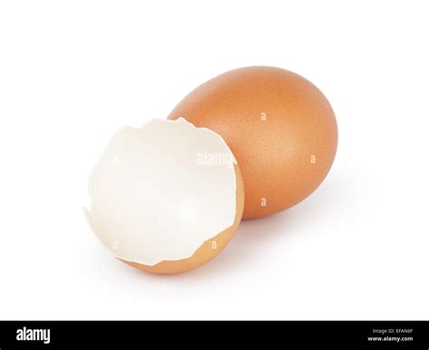 Empty Egg Shells