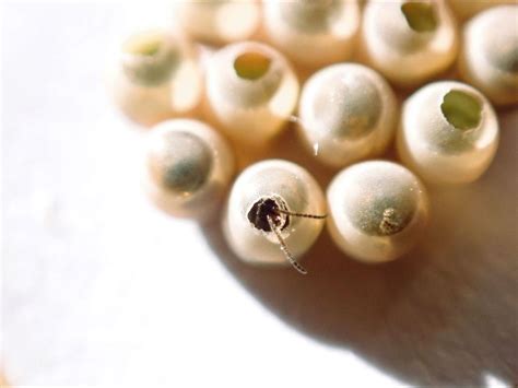 Leonard Simanga Mhlabane Posted On Linkedin