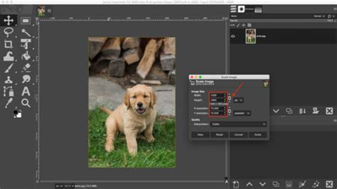 Getting Started With GIMP Photo Editing Software Photoshop Alternative