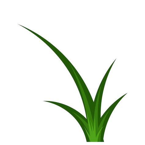 Premium Vector Grass Vector Png