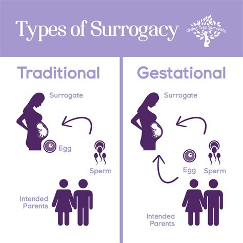 Surrogacyjourney On Instagram 1 Traditional Surrogacy In Traditional