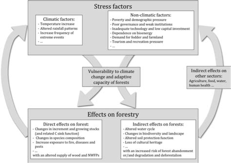Climatic And Non Climatic Stress Factors And Related Effects On