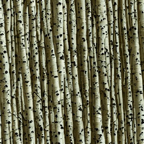 Aspen Tree Pattern Graphic Creative Fabrica