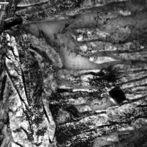 Microstructure Of The Carburized Surface Layer On 35crsimn5 5 4 Steel Download Scientific