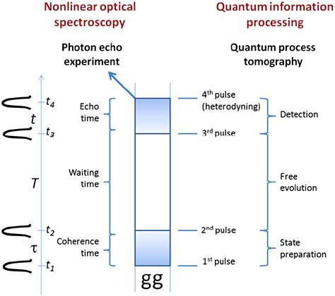 Quantum State And Process Tomography Of Energy Transfer Systems Via Ultrafast Spectroscopy Pnas