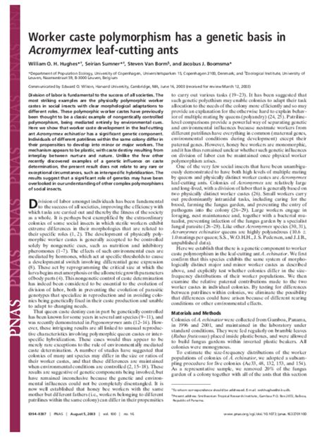 Pdf Worker Caste Polymorphism Has A Genetic Basis In Acromyrmex Leaf