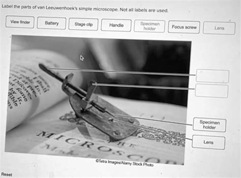 Label The Parts Of Van Leeuwenhoeks Simple Microscope Not All Labels
