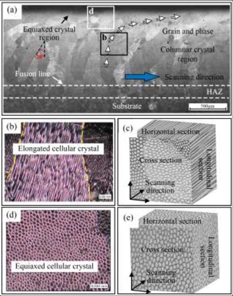 Microstructure Of Longitudinal Section Of Cladding Layer A
