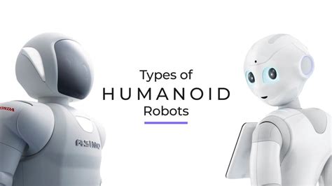 Types Of Humanoid Robots 15 Examples Proven Robotics