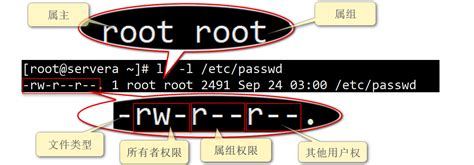 Linux文件权限与归属 腾讯云开发者社区 腾讯云 Linux文件权限与归属 腾讯云开发者社区 腾讯云