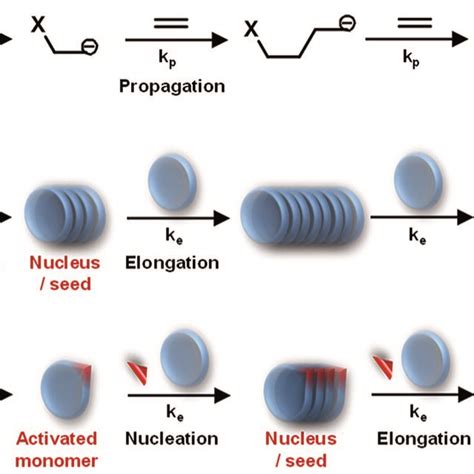 A Anionic Chain Growth Polymerization In Covalent Polymers B