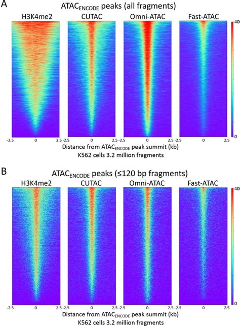 Figures And Data In Efficient Chromatin Accessibility Mapping In Situ By Nucleosome Tethered