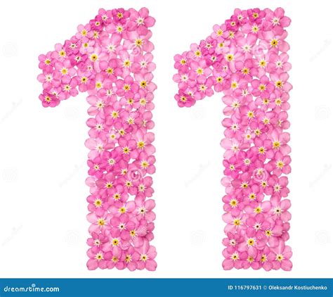 Number 11 Pink