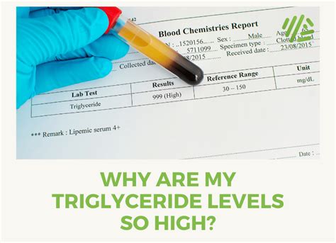 Triglyceride