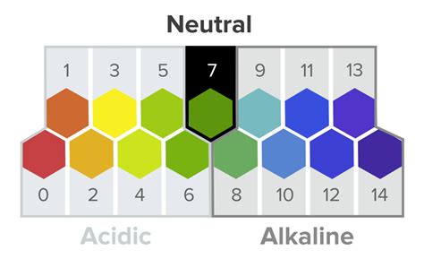BUFFER SYSTEMS THAT ASSIST PH REGULATION PH FocusedpH Focused