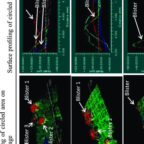 sample images 3d mapping surface profiling and blistered region download table