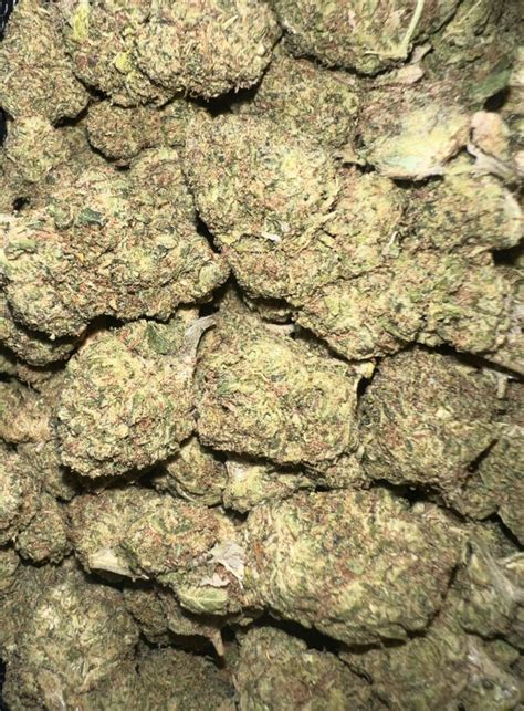 Spec Ops Delivery Top Quality Cannabis Select Co Op Dc