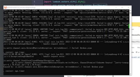 Request Help How Can I Get Custom Request Headers In The Ext Plugin