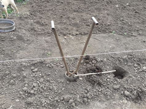 Ooh Aar A Guide To Rough Vegetable Gardening Part 4 Going Postal