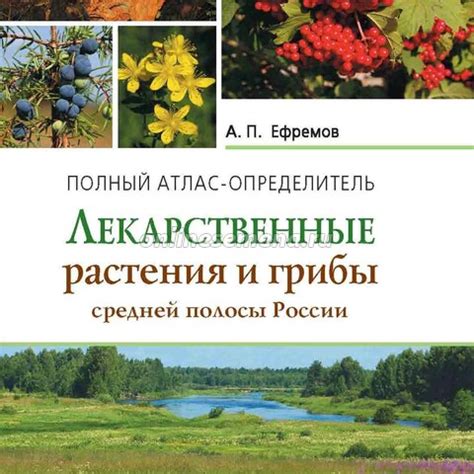 Лекарственные растения и грибы средней полосы России. Полный атлас ...