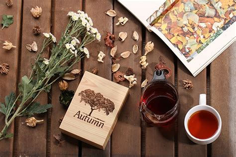 Jacqueline Burchell On Behance