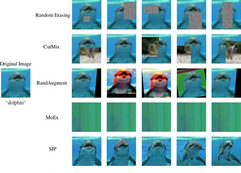 Figure 1 From Semantic Guided Image Augmentation With Pre Trained Models Semantic Scholar