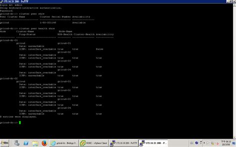 Snapmirror Problem Netapp Community