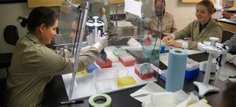 The Global Taxonomy Initiative 2020 A Step By Step Guide For Dna