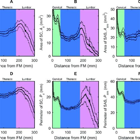 Mean Csf Flow Waveforms And Spatial Temporal Distribution Of Csf Flow