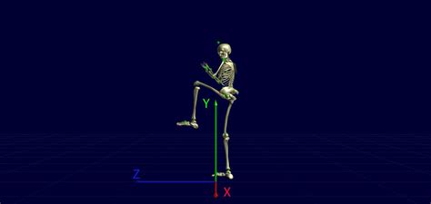Global Coordinates And Anatomical Planes Bio Kinetics Research And Development