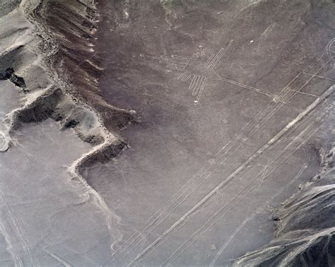 Aerial View Of A Hummingbird Nazca Lines