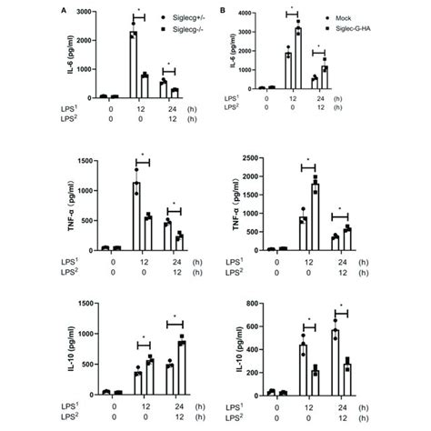 Siglec G Inhibits Of Src Activation Via Shp1 A Immunoblotting Of