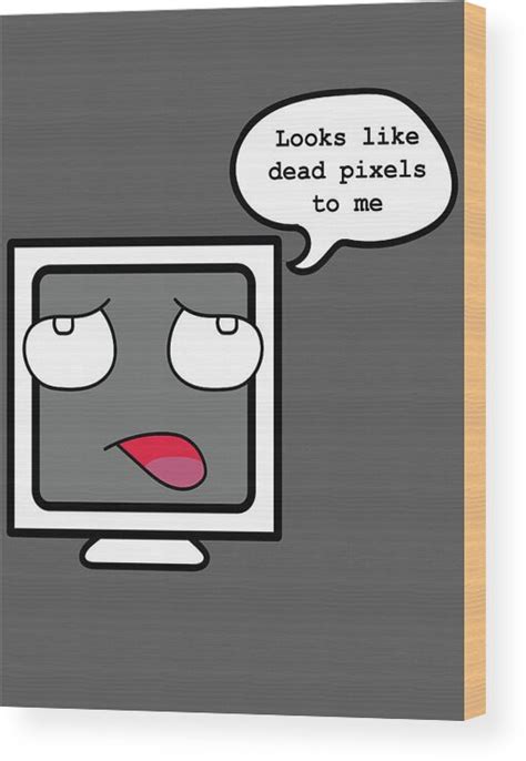 Funny Computer Software Devolper