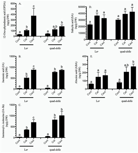 Phytohormone Levels In Arabidopsis Rosette Leaves Subject To