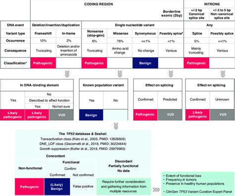 Classification Of Tp53 Variants Detected In Cll A Classification