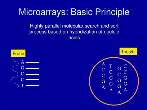 Ppt Microarrays Basic Principle Powerpoint Presentation Free Download Id 366984