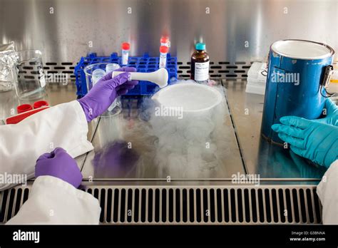 RNA Isolation In A Genetic Laboratory Stock Photo Alamy