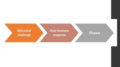 Models Of Pathogenesis In Periodontitis 1pptx