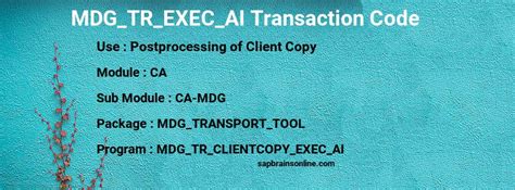 MDG TR EXEC AI SAP Tcode For Postprocessing Of Client Copy