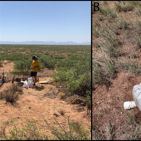 Trapping Array Design In The Field A Installed Trapping Array