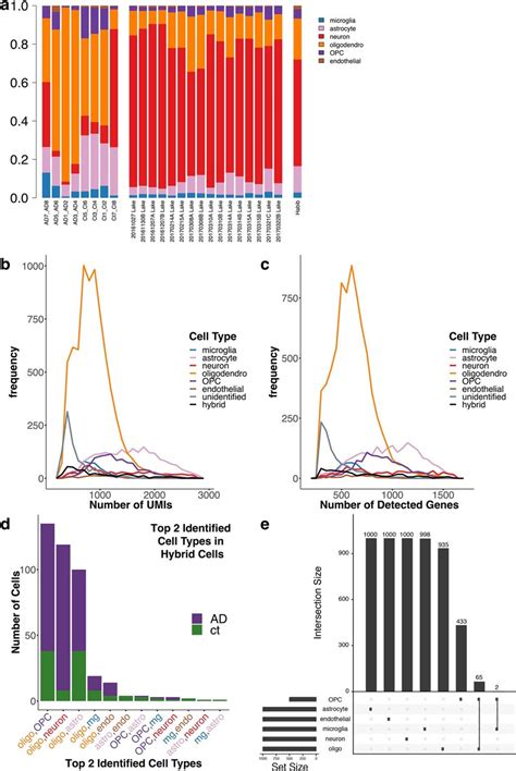 Single Nuclei Metadata And Analysis Of Hybrid Cells A Cell Proportion Download Scientific